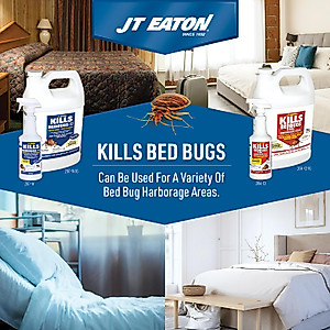 JT Eaton 204-O Bed Bug Killer Ultra, Oil-Based Insect Spray, Non-Staining Formula for Indoor Use, 1 Quart
