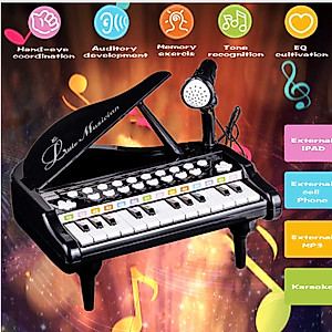 Love&Mini Toy Piano for Toddler - Birthday Gift for 1 2 3 4 5 Years Old Girls and Boys, 24 Keys Multi-Functional Baby Piano Toy with Microphone