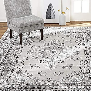 Home Dynamix Premium Sakarya Traditional Medallion Border Area Rug, Gray, 21"x35" Rectangle