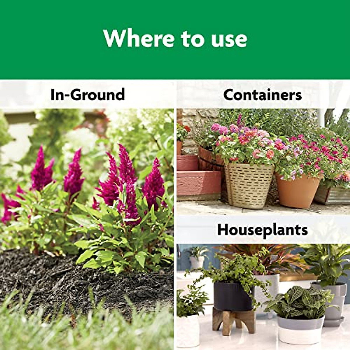 Miracle-Gro Shake 'N Feed All Purpose Plant Food, Plant Fertilizer, 4.5 lbs.