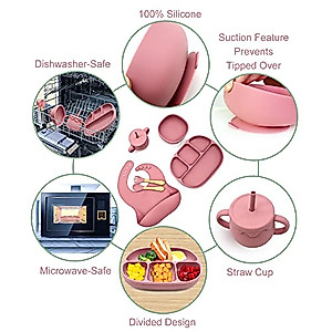 Rayshie Silicone Baby Feeding Supplies 6 in 1, Baby Dishes, Baby Plates for Babies, Baby Utensils 6-12 Months, Silicone Bibs for Babies, Straw Cup, Baby Led Weaning Supplies, BPA Free