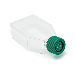 SPL Cell Culture Flask 25 cm² (T25) Filter Cap, Treated, Sterile, 200/Case