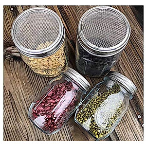 IUMÉ Seed Sprouting Jar Kit, 1- Pack Seed Starter Tray, 1 Sprouter Mason Jars with Screen Lids, Stands and Trays, Indoor Seed Sprouter Germinator, Broccoli Sprouts Germination Growing Kit