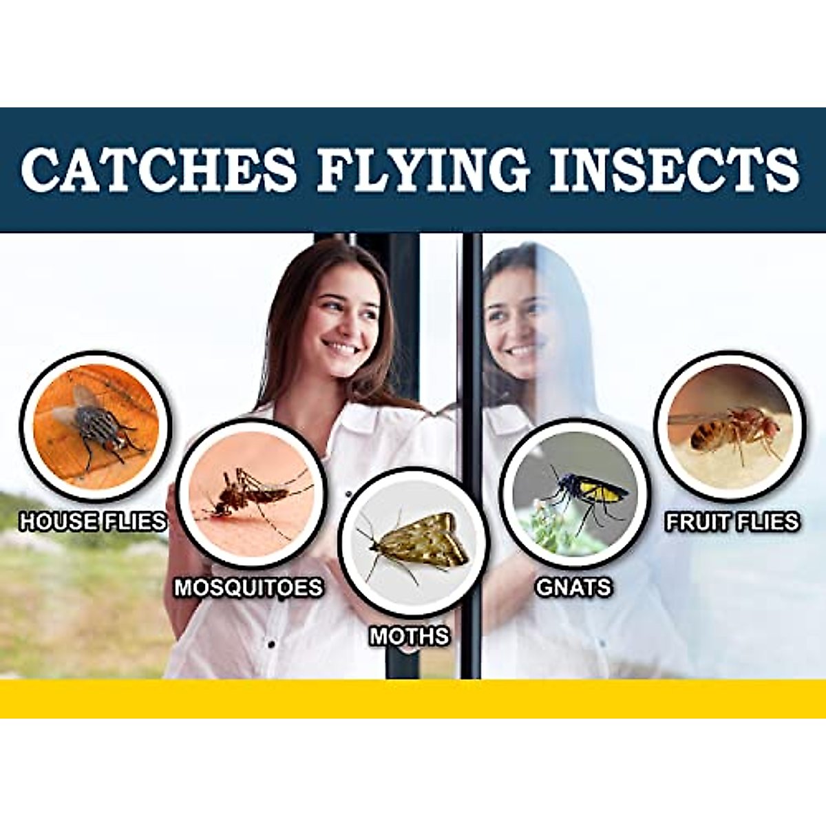MaxGuard Window Fly Traps (24 XL Traps) Catch & Kill Houseflies, Flying Insects & Bugs. Non-Toxic Sticky Glue Traps Fly Killer Clear Strip Insect Catcher Safe No Zapping with Zapper |