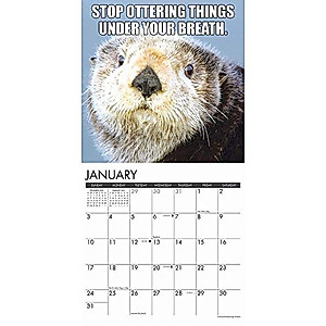 In Otter News 2021 Wall Calendar