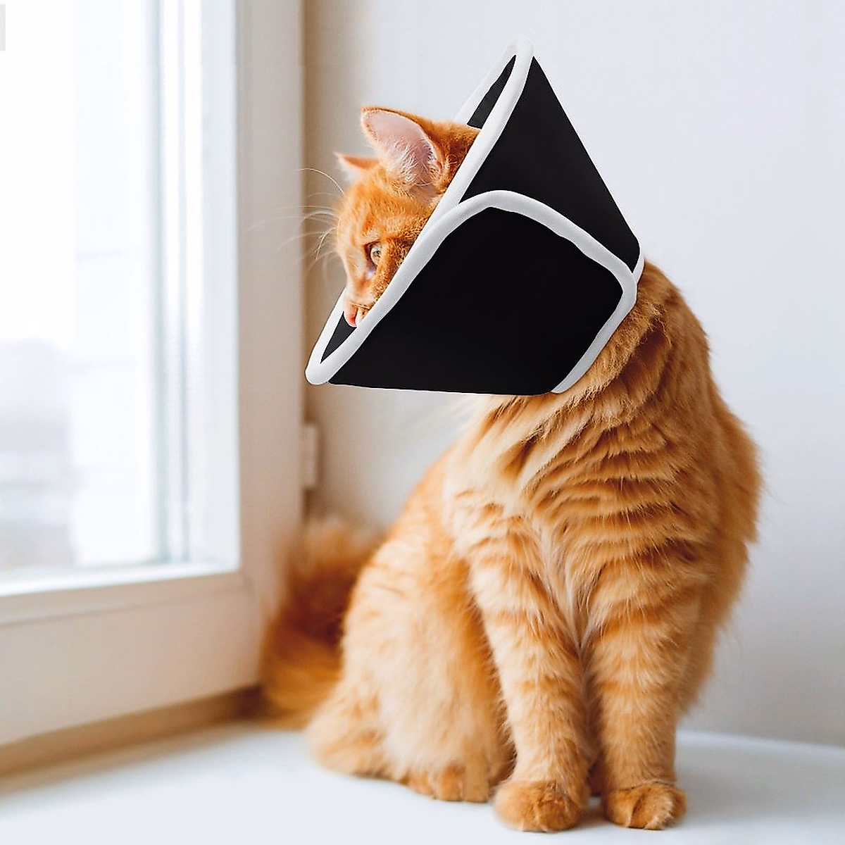 Eat Sleep Soccer Repeat Comfortable Dog Cone Cat Collar Adjustable Prevent from Licking Wounds M