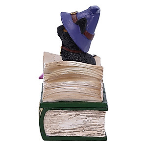 Nemesis Now Binx Small Witches Familiar Black Cat and Spellbook Figurine Box, Green, 11cm