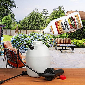 Spectracide Weed And Grass Killer Concentrate 40 Ounces, Use On Patios, Walkways And Driveways