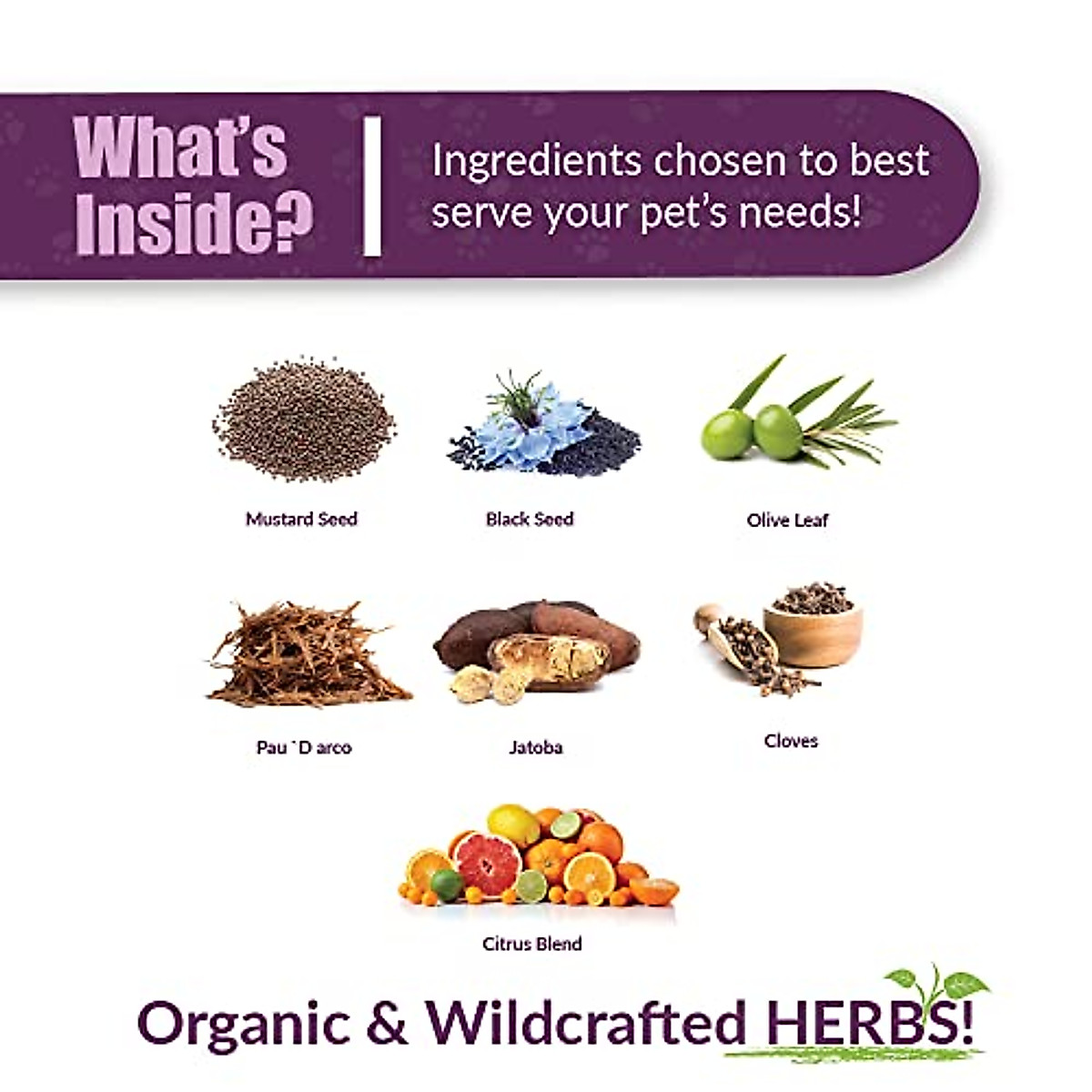 AMBER NATURALZ - REPTAID - Immune Support - for Reptiles Under 250g - 1 Ounce