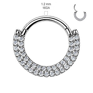 Pierced Owl 16GA G23 Implant Grade Titanium Double CZ Crystal Lined Cartilage Helix Daith Septum Hinged Segment Ring (Silver Tone, 8mm Diameter)