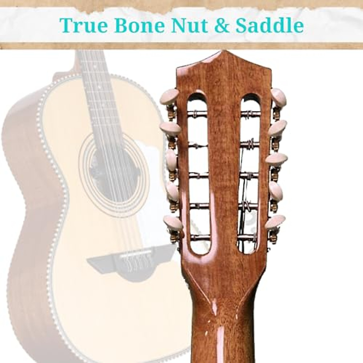 H. Jimenez 10 String Bajo Quinto, Right, Gold (LBQ2NC)