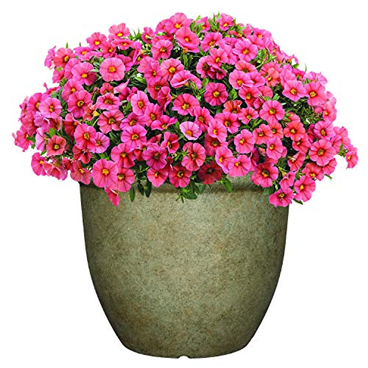 Classic Home and Garden Bellina Grande 12" Planter, Fossil Stone