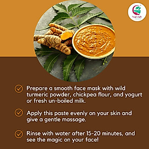 Kasturi Turmeric Powder for Skin Care | Wild Turmeric Powder | Aka Kasturi Manjal Powder | Best for Preparing Turmeric Face Mask | Get Clear and Glowing Skin Naturally | 100grams / 3.5 Oz pack
