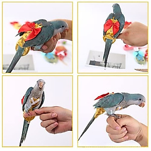 Bird Flight Suits Diapers, Parrot Flight Suits Diapers for Rosellas, Cockatiels Flight Suits, Parrot Clothes, Bird Training Nappy Suit Liners Clothes (Medium)