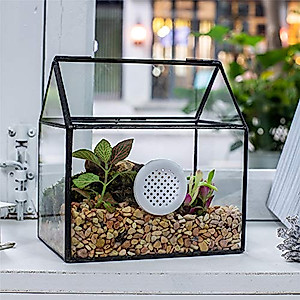 NCYP Small Glass Terrarium with lid for Air Plants Moss Succulent, Handmade Geometric House Shape Close Glass Box for Snail Reptile Habitat, Tabletop DIY Display Container (Glass Box Only) Black