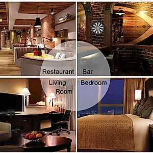 XININSUN T10 led Bulb, Dimmable T10 Frosted led Light Bulbs,8W Led Tube Bulbs, 60-75 Watt Equivalent,2700K Warm White,E26 Base Bulb for Desk Lamp,Bathroom,Cabinet Display...Milk White-3 Pack