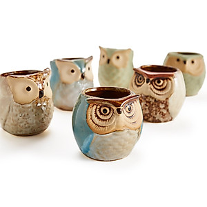 SUN-E SE Owl Pot Ceramic Flowing Glaze Base Serial Set Succulent Plant Pot Cactus Plant Pot Flower Pot Container Planter with Drainage Hole Home Office Desk Garden Gift Idea 6pcs 2.5 Inch