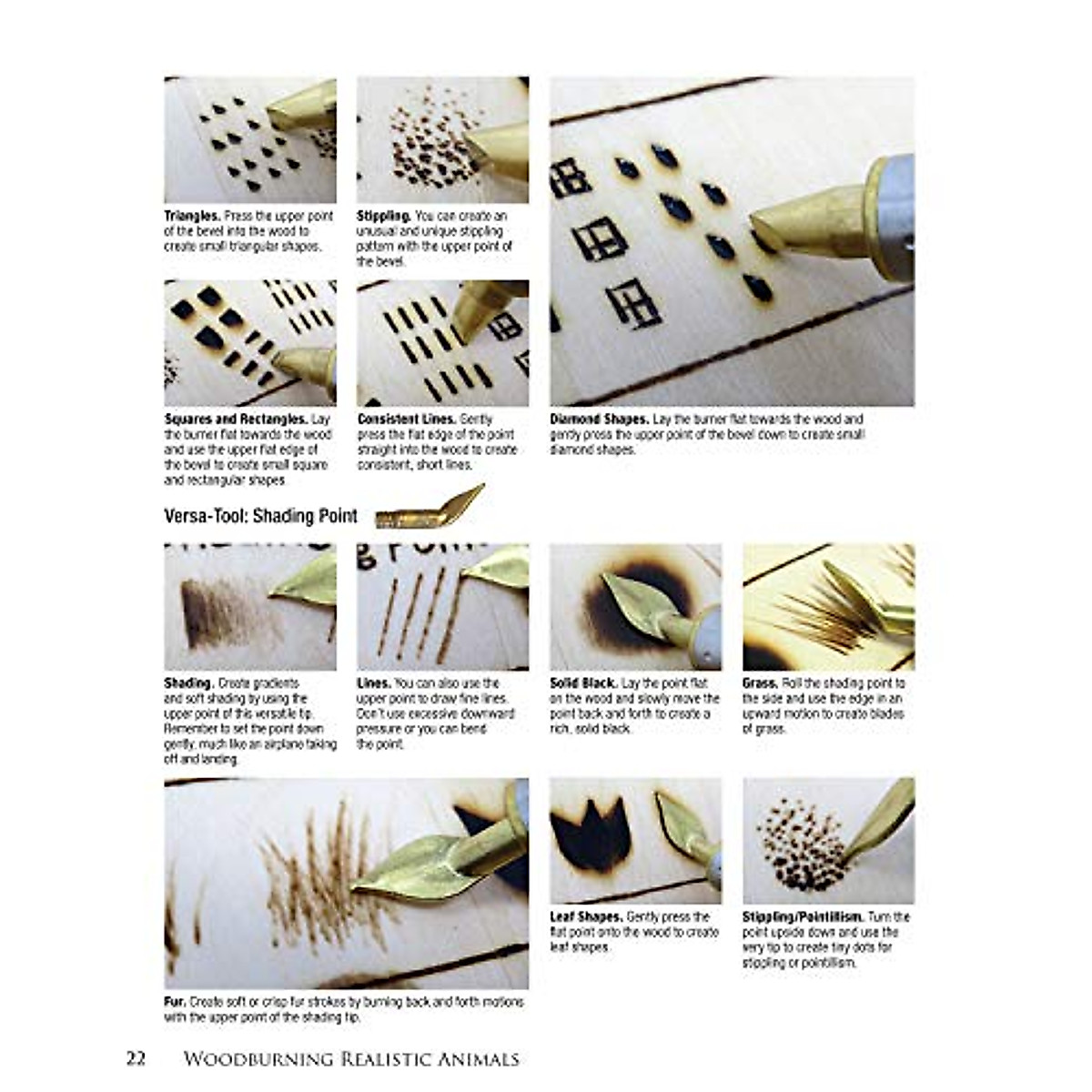 Woodburning Realistic Animals: 12 Step-by-Step Pyrography Projects of Birds, Pets, and Wildlife (Fox Chapel Publishing) Tutorials for Eyes, Fur, Manes, & Whiskers; Projects for Big Cats, Owls, & More