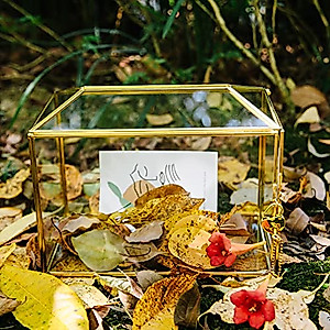 Defined Deco 10.2" Glass Card Box, Gift Display Box,Wedding Card Box with Heart Lock, Card and Gift Holder Glass Cards Box for Weddings, Birthdays, Graduations, Baby and Bridal Showers,Brass Frame.