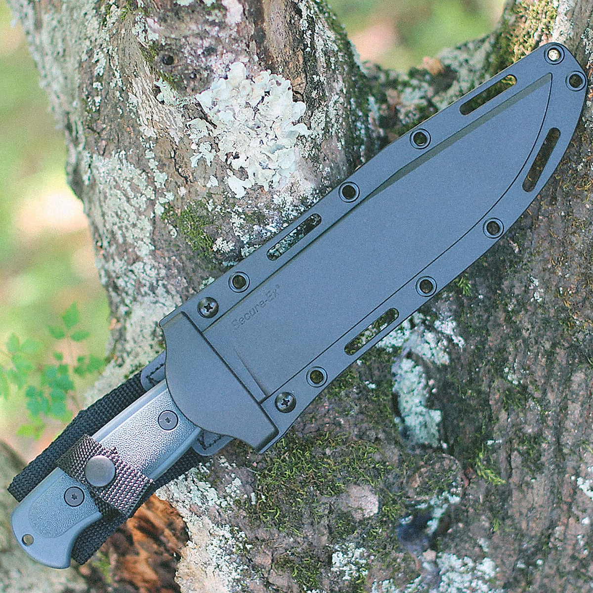 Cold Steel Drop Forged Survivalist 8" 52100 High-Carbon Steel Clip Point Fixed Blade EDC Tactical Hunting Utility Knife, 5" Ergonomic Handle, Weather-Resistant Secure-Ex Sheath