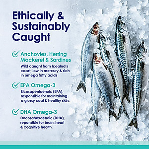 Pure Omega 3 Fish Oil for Dogs, Wild Caught from Iceland, Skin and Coat Supplement for Shedding, Dry Itchy Skin and Allergies, Rich in EPA + DHA with Omega 3, 6 & 9 Fatty Acids, 1000mg, 180 Capsules