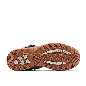 Columbia Women's Newton Ridge Plus Waterproof Amped, Kettle/Marionberry, 9.5