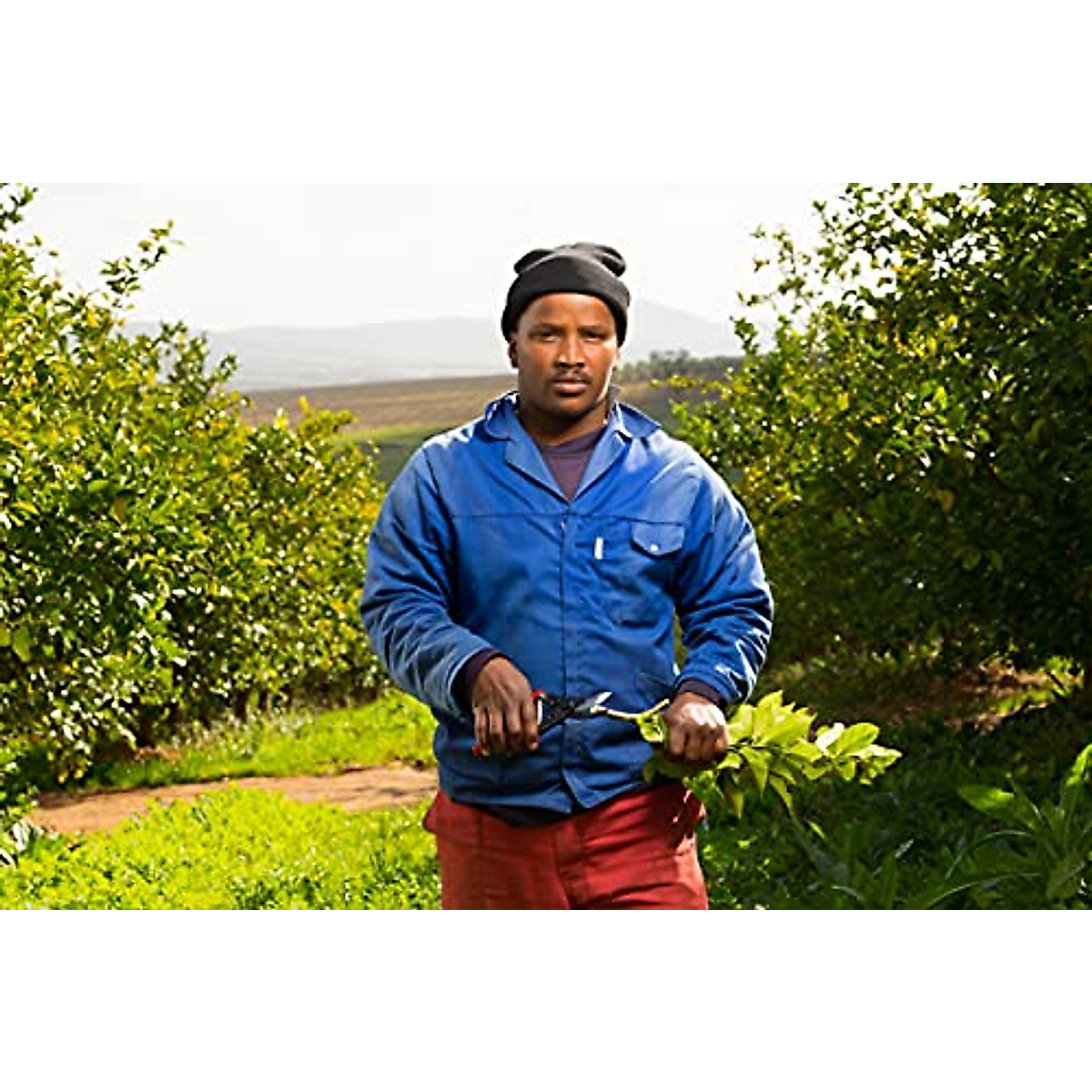 Felco Pruning Shears (F 5) - High Performance Swiss Made One-Hand Garden Pruners