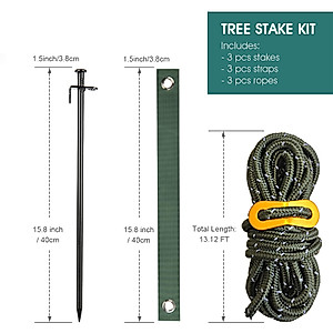 Tree Stake Kit, Fetanten 15.8 Inch Heavy Duty Steel Tree Stakes and Supports Kit for Leaning Trees Against Strong Wind, with 3 Pieces Tree Straps and Rope (13.12 Feet) Perfect Tree Straightening