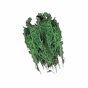 MYCENSE Model Trees Fake Trees Hobby Train Scenery Dioramas Scenery Decor Sand Table Model Material for 1/87 1/35 Scenery Landscape DIY Landscape, Green