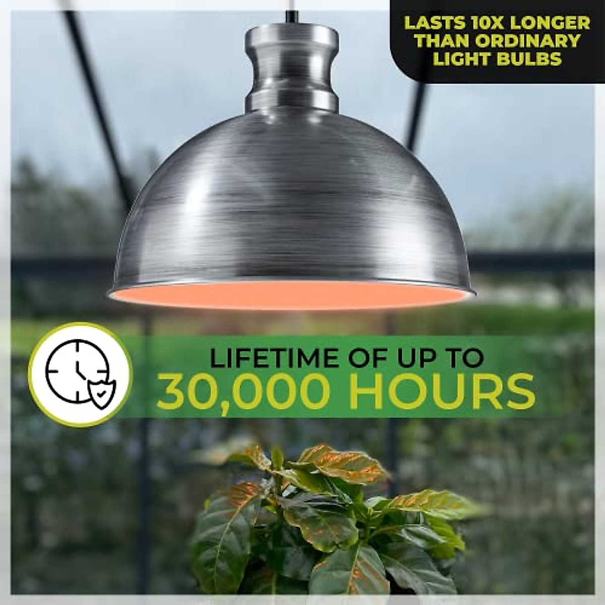 Bio Green 500-USZ Florabooster LUM 500 Grow Indoor 60w Lightbulb Lamp with 3m Connection Cable – Energy Saving House Plants – High Light Intensity, Brushed zinc
