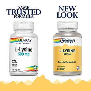 SOLARAY L-Lysine 500mg | Amino Acid | Healthy Cognitive, Immune System & GI Function, Bones, Joints & Skin Support | 120 VegCaps