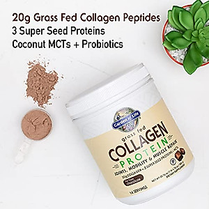 Garden of Life Grass Fed Collagen Protein Powder - Chocolate, 14 Servings, Collagen Powder for Joints Mobility Muscle Repair, Collagen Peptides Super Seeds Coconut MCTs, Keto Collagen Supplements