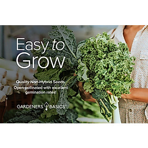 Gardeners Basics, Kale Seeds for Planting, Heirloom, Non-GMO Vegetable Variety - Great for Indoor, Outdoor, and Hydroponics Gardening (Vates Blue Scotch Curled)