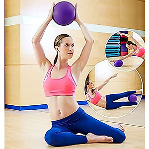 MOMPLUS 6 Inch Exercise Pilates Mini Yoga Balls Barre for Home Stability Squishy Training Physical Therapy Improves Balance Core Strength Comes with Pump(Purple, 6 Inch)
