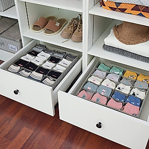 GRANNY SAYS Bundle of 1-Pack Hanging Closet Shelves & 2-Pack Socks Storage Organizers