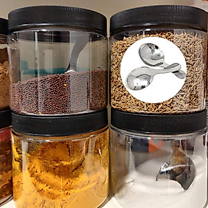 Honbay 4PCS Stainless Steel Short Handle Spoon for Salt Condiments Dessert Tea Coffee (silver)