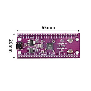 SBUOL W806 Microcontroller 240MHZ 5-8Bit STM32 Development Board CH340 IoT MCU Chip CDK Development Environment Low Power IOT (Color: W806 chip)
