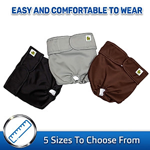 Pet Magasin Reusable Washable Dog Diapers (Pack of 3), Highly Absorbent with Strong & Flexible Closure (Original, Large (16”-24” Waist))