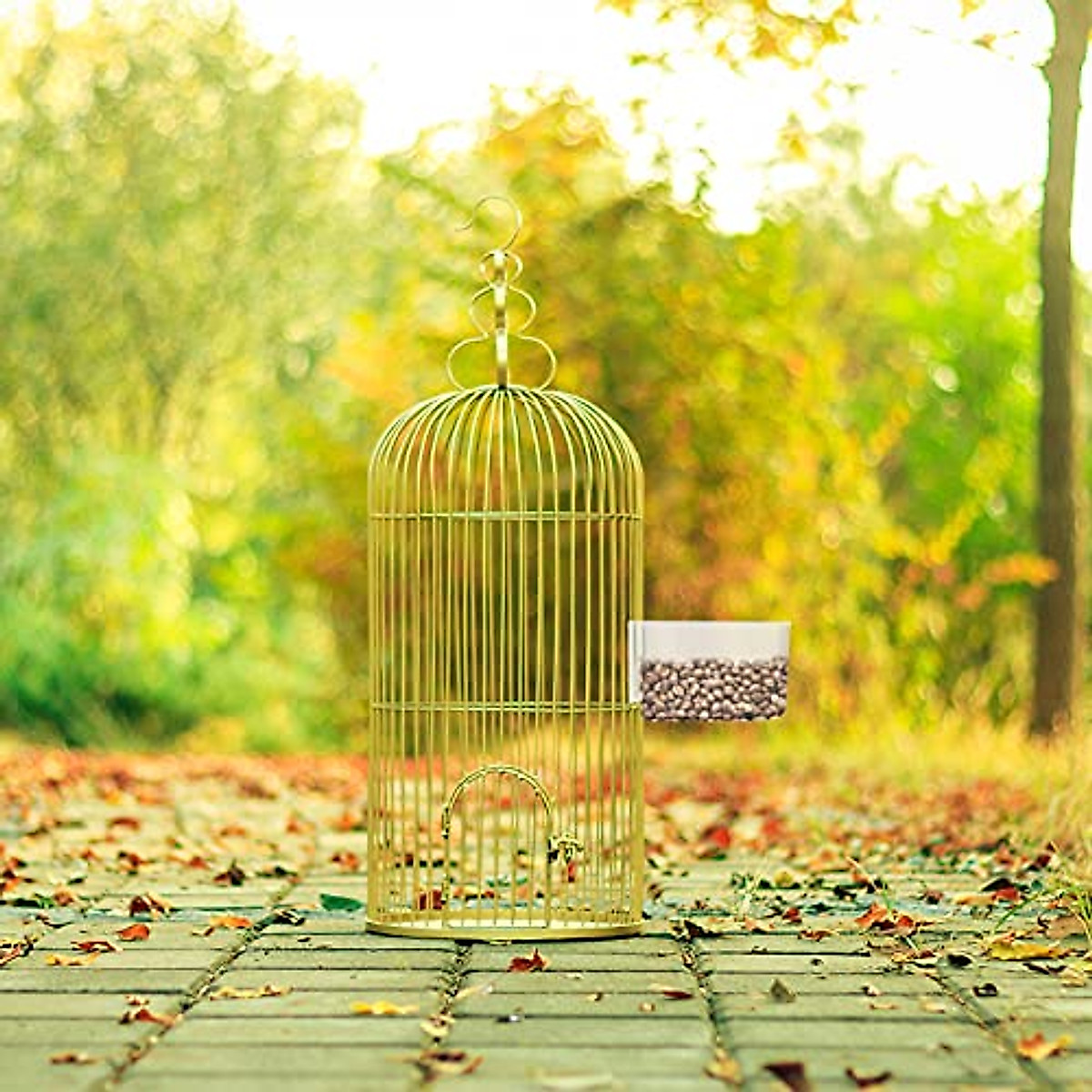 Mipcase 4pcs Bird Cups, Budgerigar Bowl, Animal Feeders Trough Winged Feeders, Cages for Conure Bowls, Thickened Cup Spillage Accessorytransparent Pet Small Canary Accessory Parrot Seeds