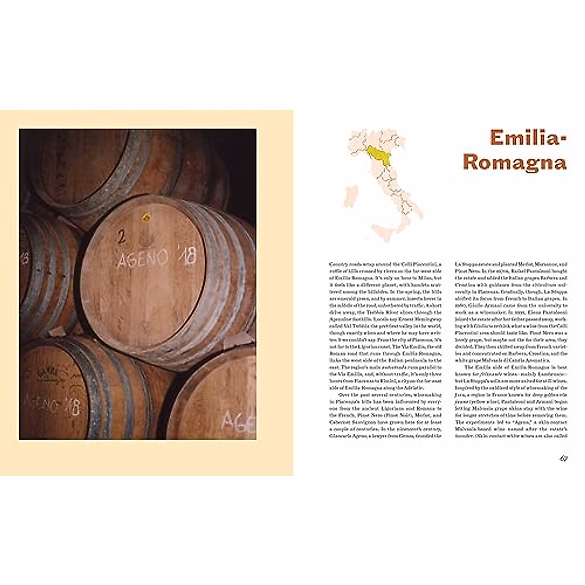Italian Wine: The History, Regions, and Grapes of an Iconic Wine Country