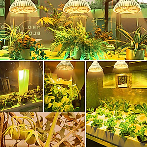 100W LED Grow Light Bulb, 2 Pack Full Spectrum 150 LED Plant Light Bulb for Indoor Plants, E26/27 Base Grow Light Bulbs, 160 Degree Warm Lighting Lamp for Flower Hydroponic Organic Growing Greenhouse