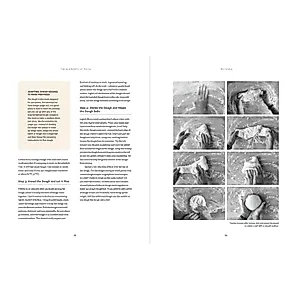 The Elements of Pizza: Unlocking the Secrets to World-Class Pies at Home [A Cookbook]