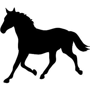 16x20 Horse Stencil Made from 4 Ply Matboard