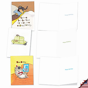 The Best Card Company - 10 Cute Birthday Note Cards with Envelopes (4 x 5.12 Inch) - Pets and Animal Notecards, Boxed Assortment - Kitty Birthday M3791BDG-B1x10