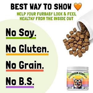 Mushroom Complex Treats for Dogs with Reishi, Shiitake, and Turkey Tail Mushrooms for Cognition and Immune Boosting Supports Digestive Health and Reduces Inflammation DHA EPA Turmeric Kelp 30 Chews