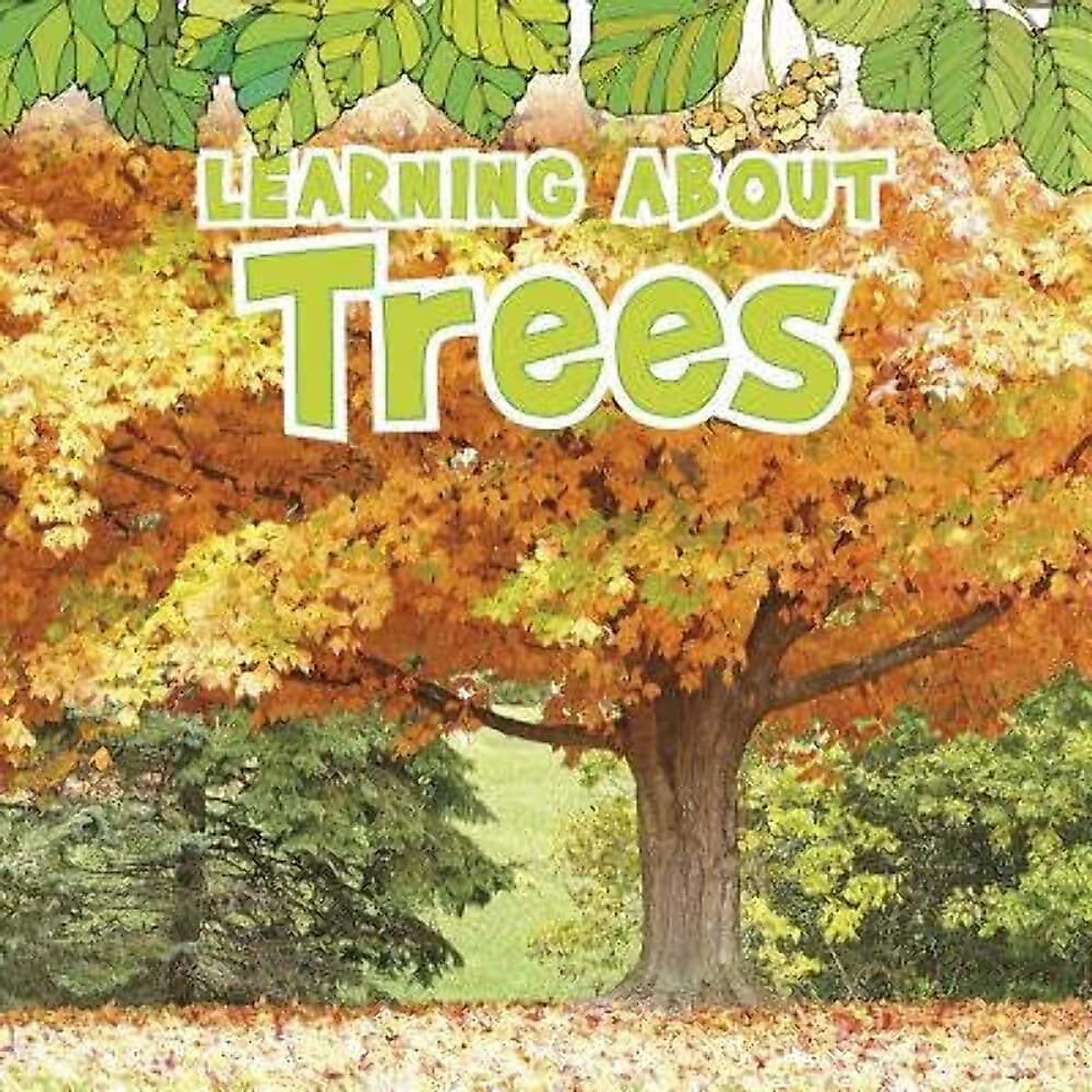 Learning About Trees (The Natural World)