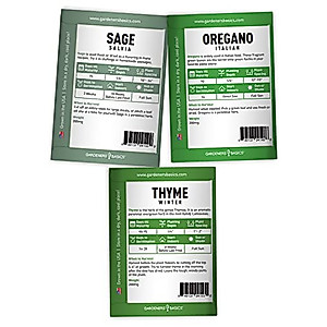Italian Herb Seeds for Planting 5 Variety Herbs Seed Packets Including Italian Flat Leaf Parsley, Sage, Oregano, Thyme, Basil - Great for Kitchen Herb Garden, Hydroponics Heirloom - Gardners Basics