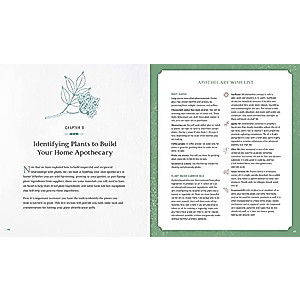 Held by the Land: A Guide to Indigenous Plants for Wellness