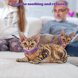 4 Pack Calming Collar for Cats and Kittens,Cat Pheromone Collars for Anxiety Efficient Relieve, Feline Calm Pheromones Collars Cats Stress Relief,Calming Collar for Peeing,Meowing,Fighting,Scratching
