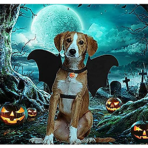 Halloween Dog Costume Pet Bat Wings Funny Cosplay Apparel Puppy Costumes for Medium Large Dogs Outfit, Adjustable Bat Wing with Dog Leash and Pumpkin Bells (Black, Under 80 pounds)